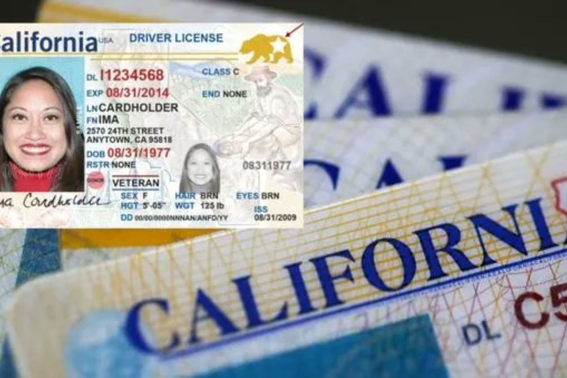 Real ID - Últimas noticias sobre Real ID