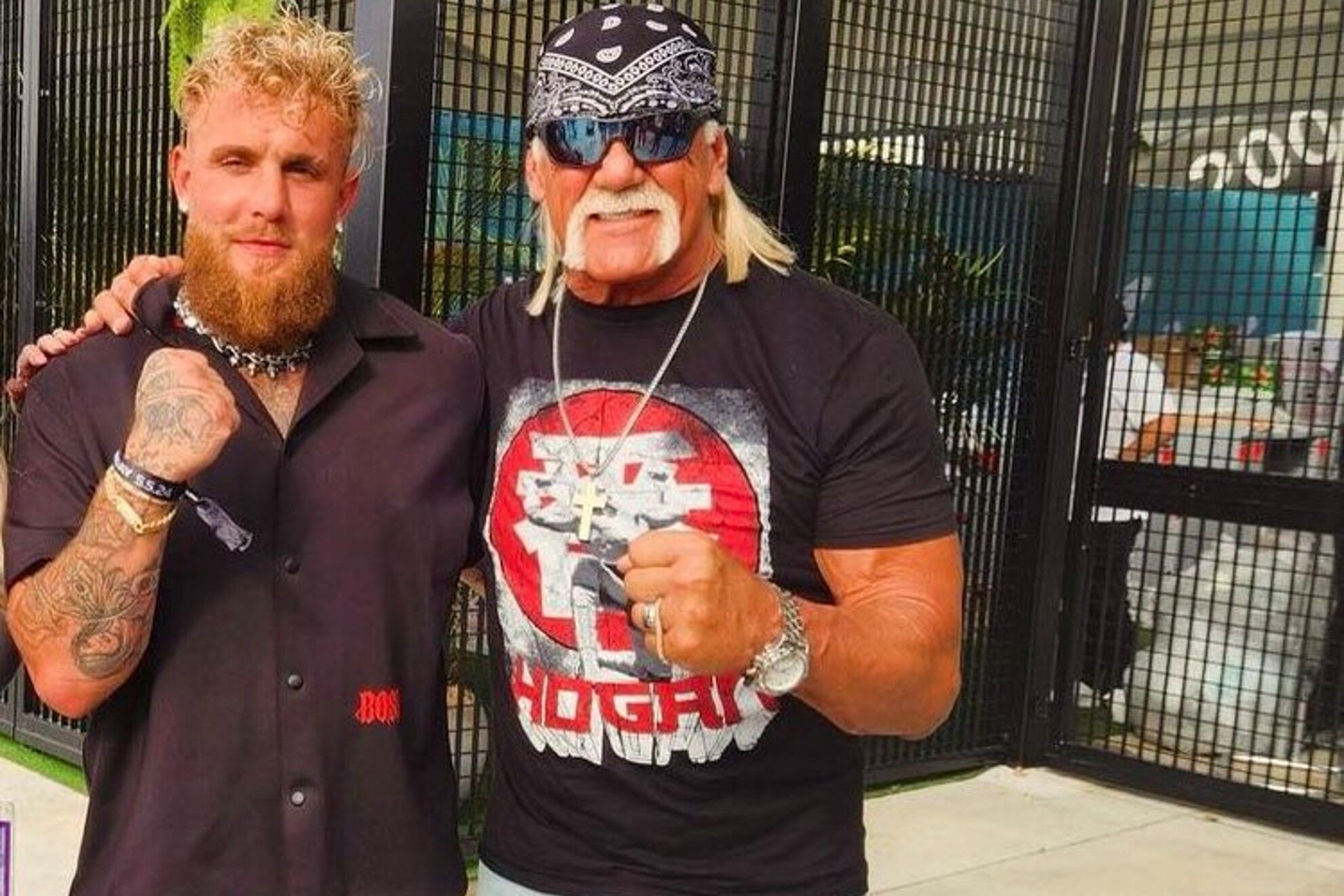Hulk Hogan - Últimas noticias sobre Hulk Hogan